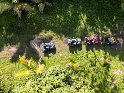 ATV Rainforest Adventure: 1-Hour Jungle Ride + Organic Fruit Tasting ...