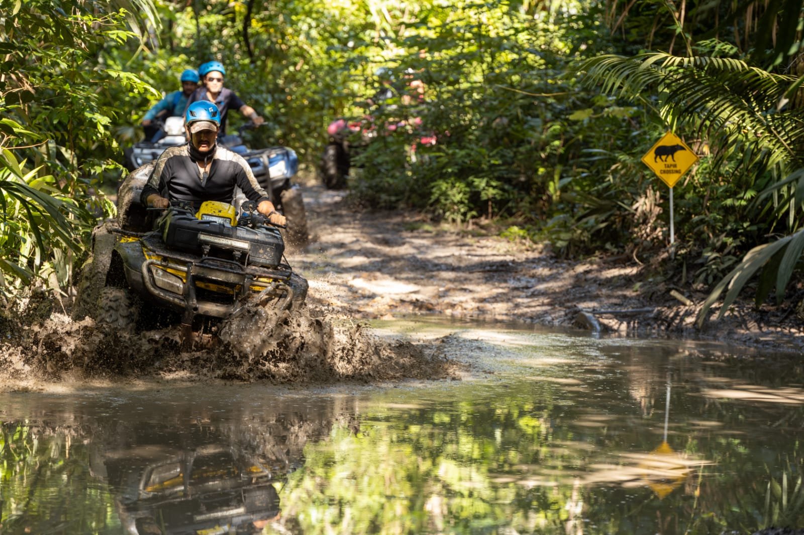 ATV Rainforest Adventure: 1-Hour Jungle Ride + Organic Fruit Tasting ...